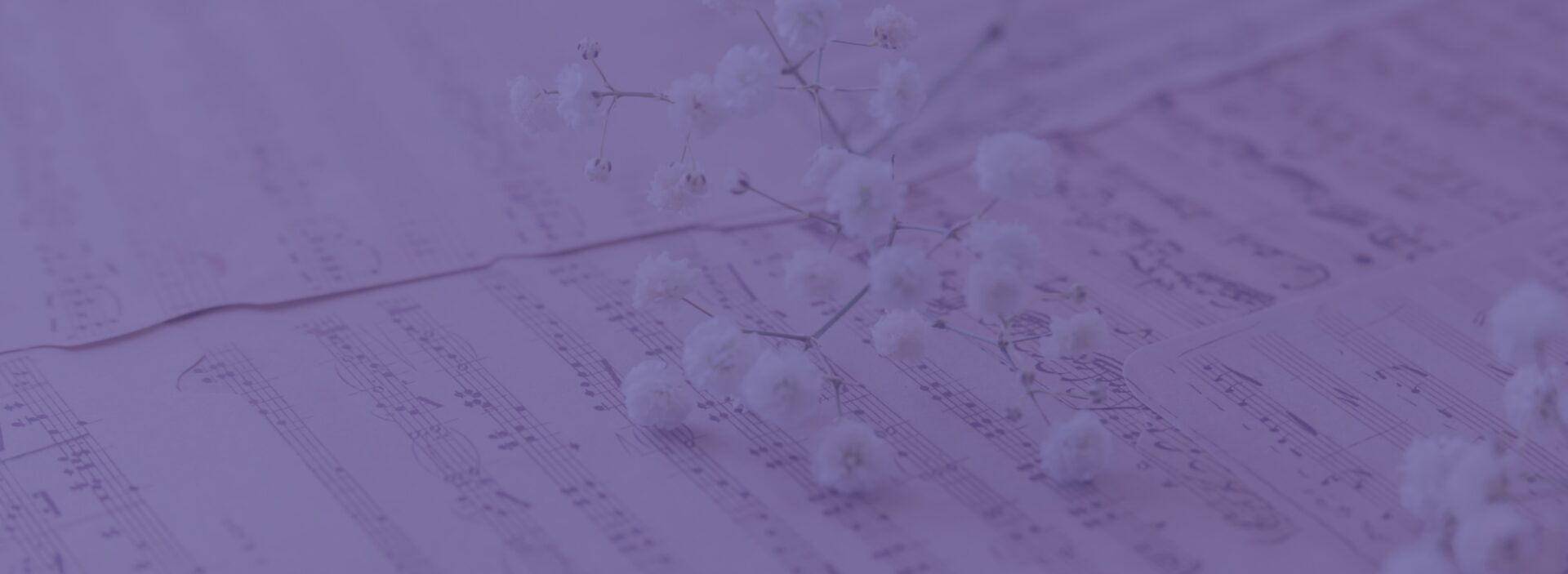 The Pause Principle - Waverley Learning